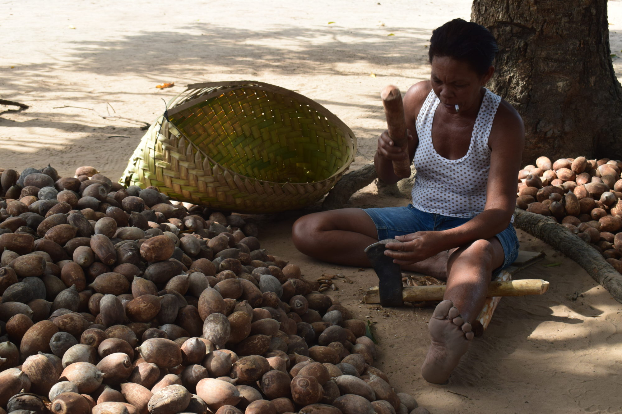 Quebradeiras de coco babaçu na Amazônia