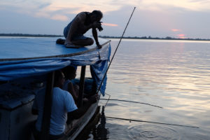 Uso Forense do Peixe Piracatinga - Amazônia Latitude
