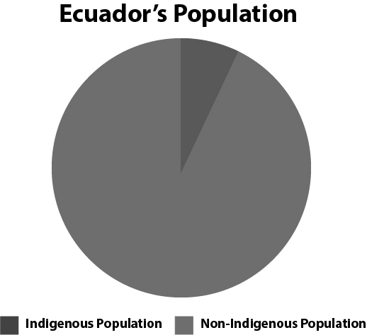 The case of endangered languages in Brazil and Ecuador