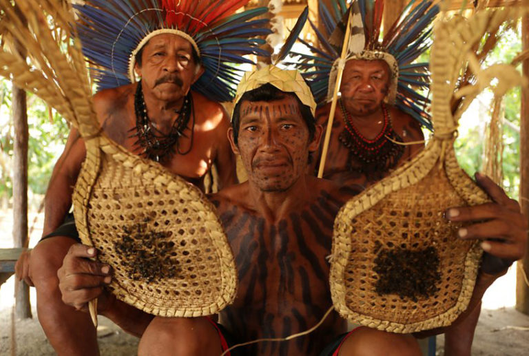 O Universo Mítico Feminino Sateré-Mawé - Amazônia Latitude