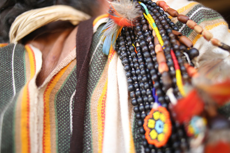 Pesquisa: Análise de genoma revela novas origem dos Ashaninka