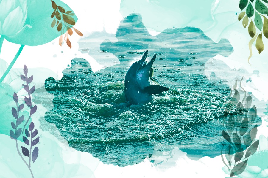 A Lenda do Boto - por Isabella Thiago de Mello