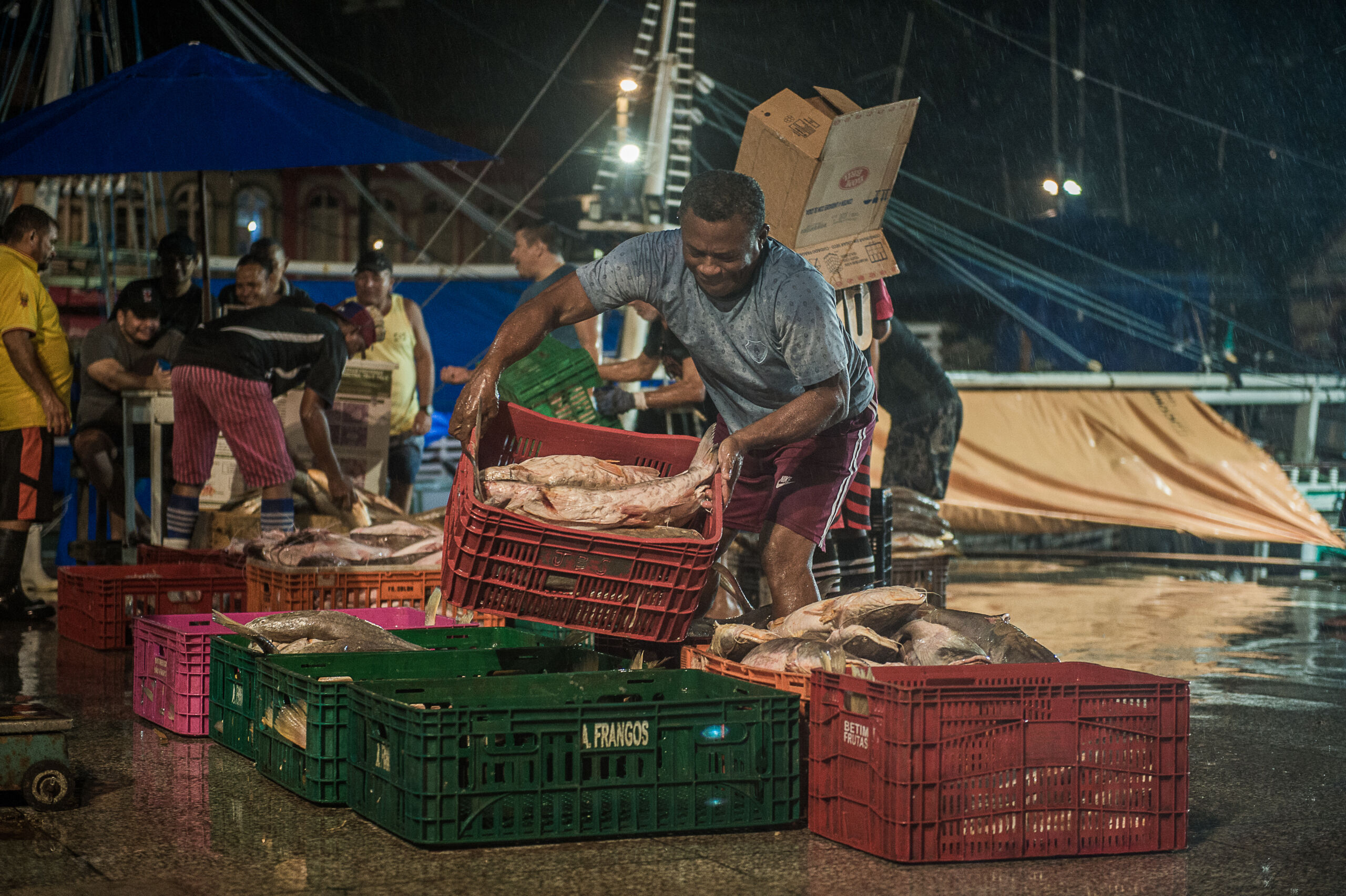 Pedra do Peixe: Fotos da chegada dos pescados ao Ver-o-Peso